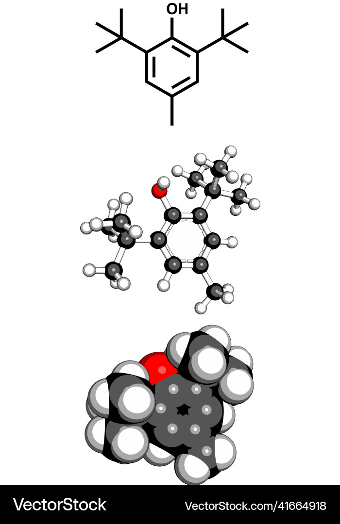 Butylated hydroxytoluene bht food additive Vector Image