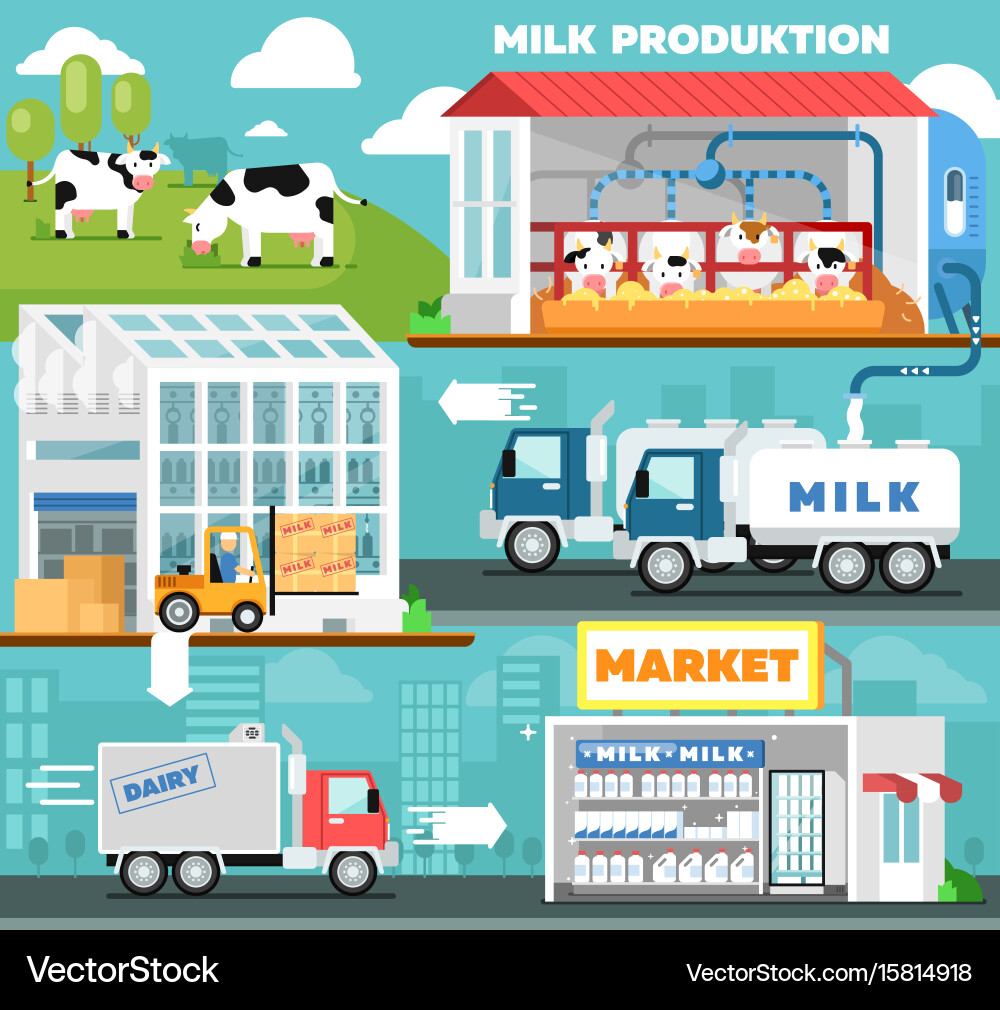 Eco milk production infographics in flat style Vector Image