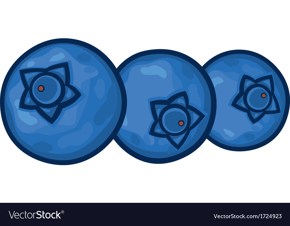 Blueberries Royalty Free Vector Image - VectorStock