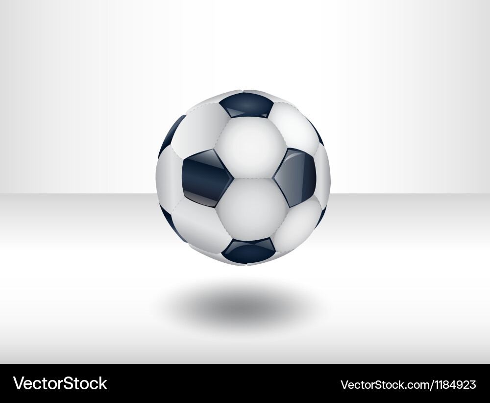 Isolated soccer ball Royalty Free Vector Image