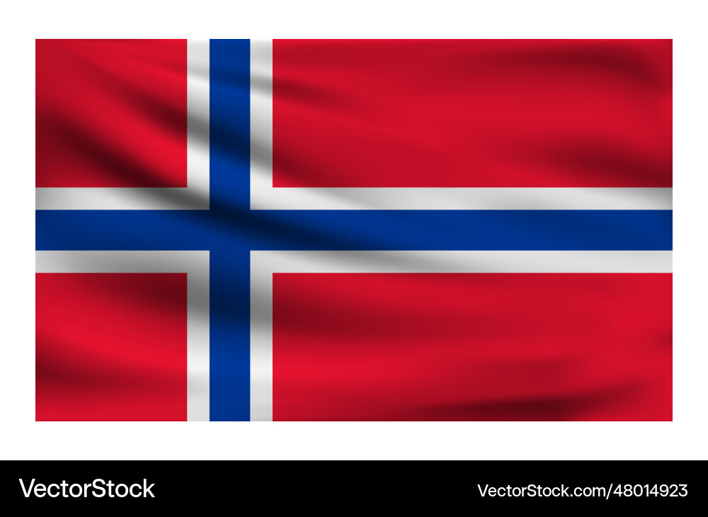 Realistic national flag of norway current state Vector Image