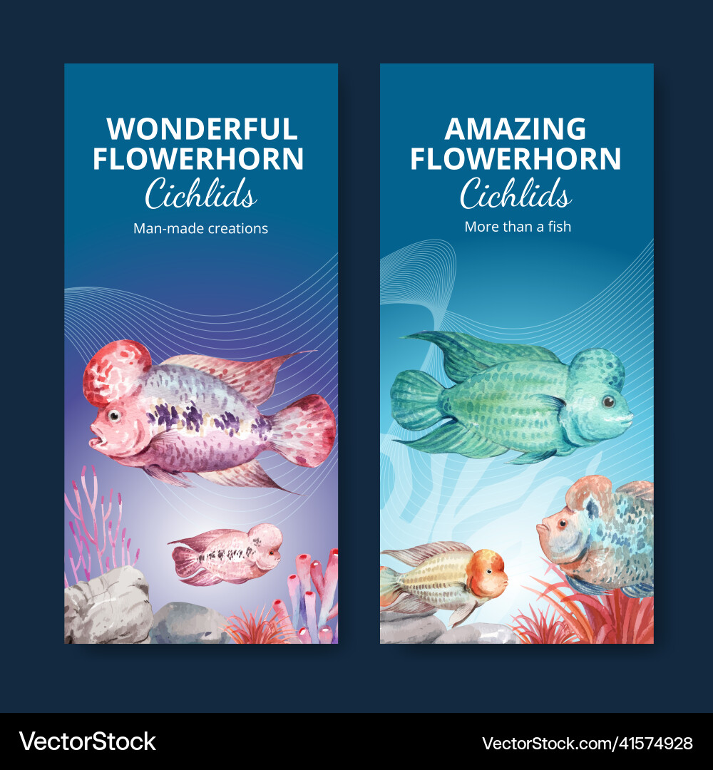 Flyer template with flower horn cichlid fish Vector Image