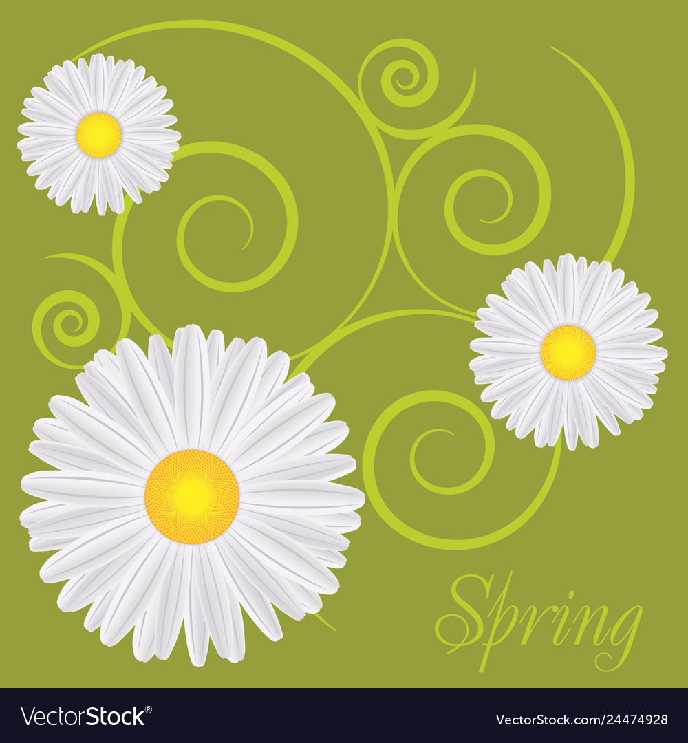 Spring background with dandelions Royalty Free Vector Image