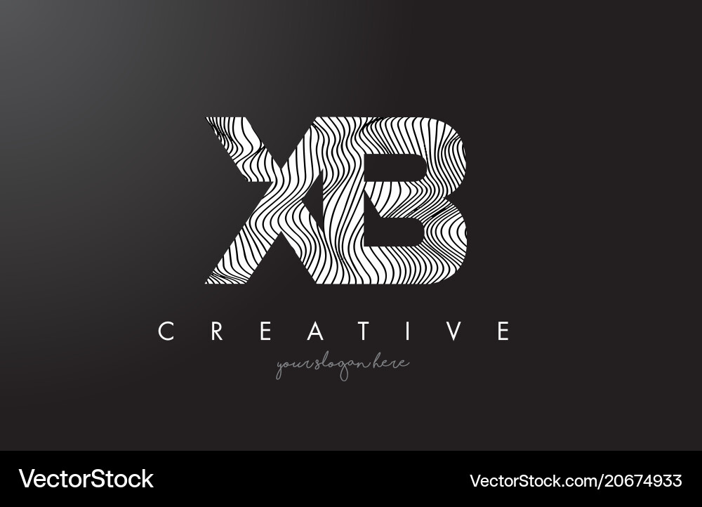 Xb x b letter logo with zebra lines texture Vector Image