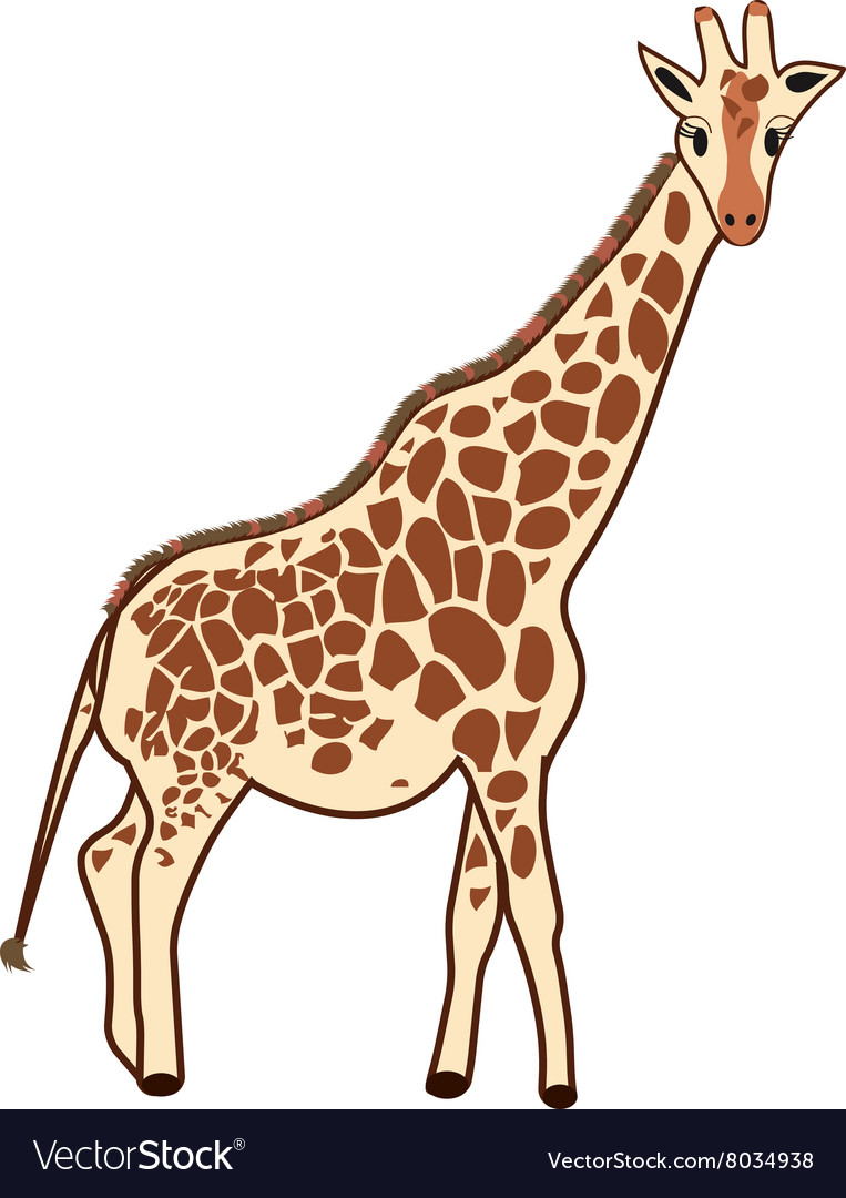 Giraffe Royalty Free Vector Image - VectorStock
