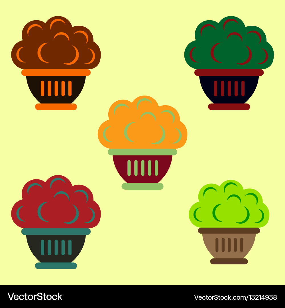 Luxury interior big plant in pot collection Vector Image