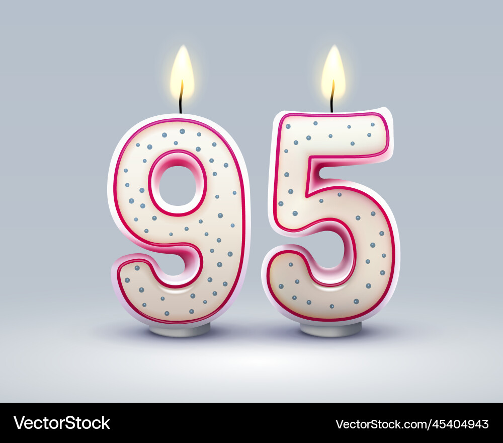 Happy birthday years 95 anniversary Royalty Free Vector