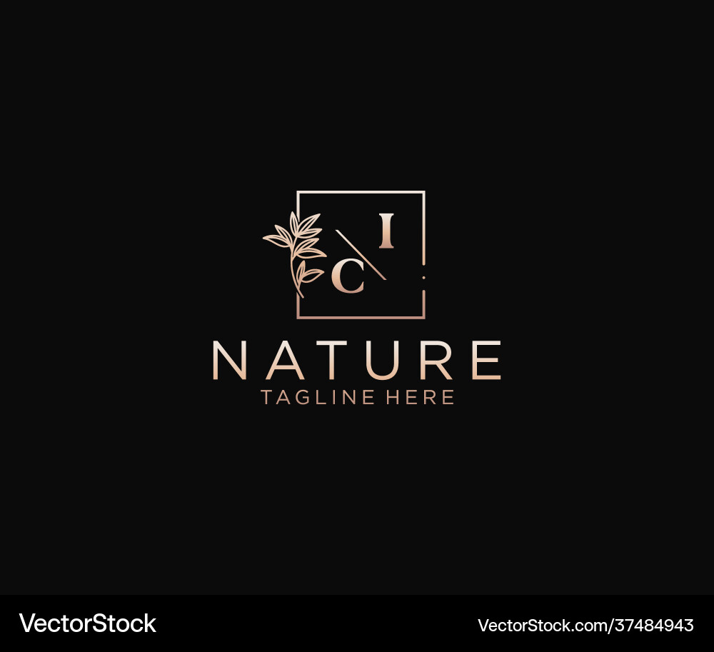 Initial ic letters beautiful floral feminine Vector Image