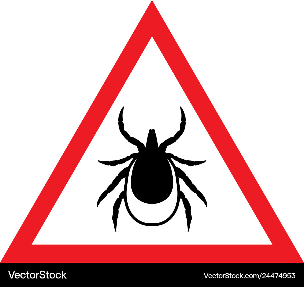 Image of a tick in red triangle - stop sign Vector Image