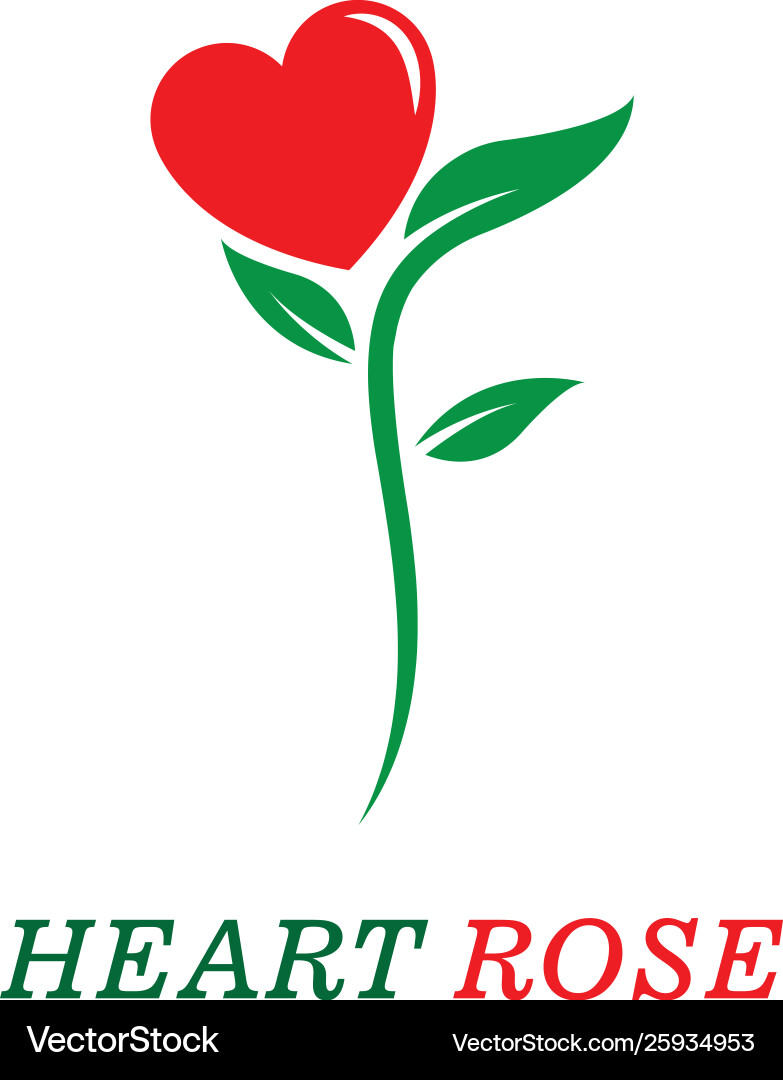 Rose flower logo template Royalty Free Vector Image