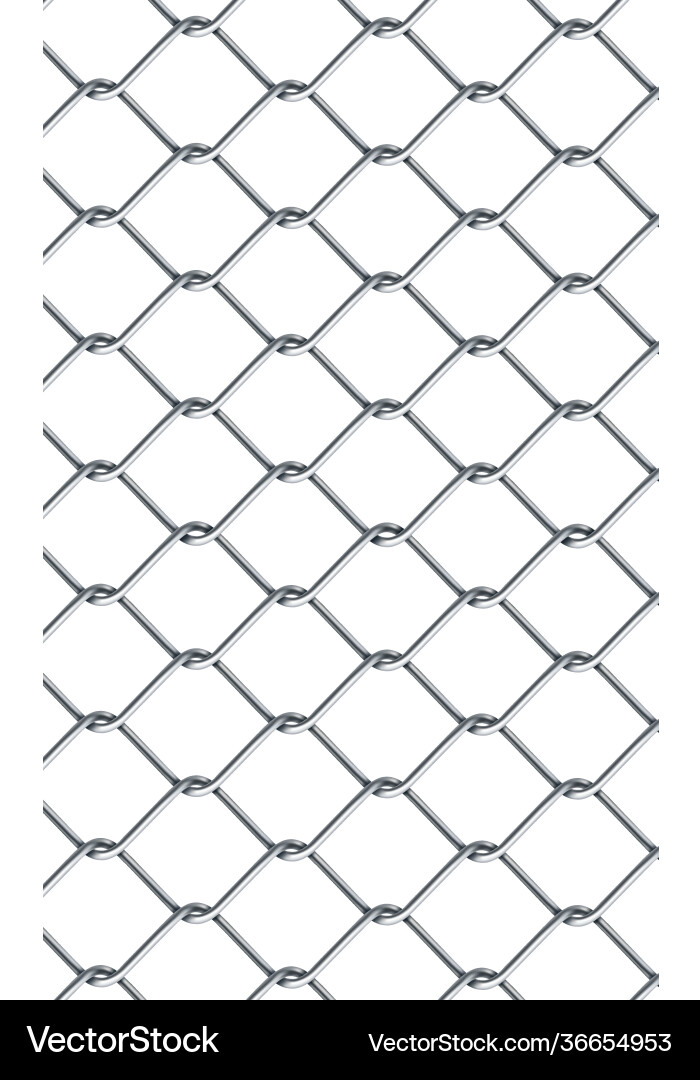 Silver metal mesh chain-link on a white Royalty Free Vector