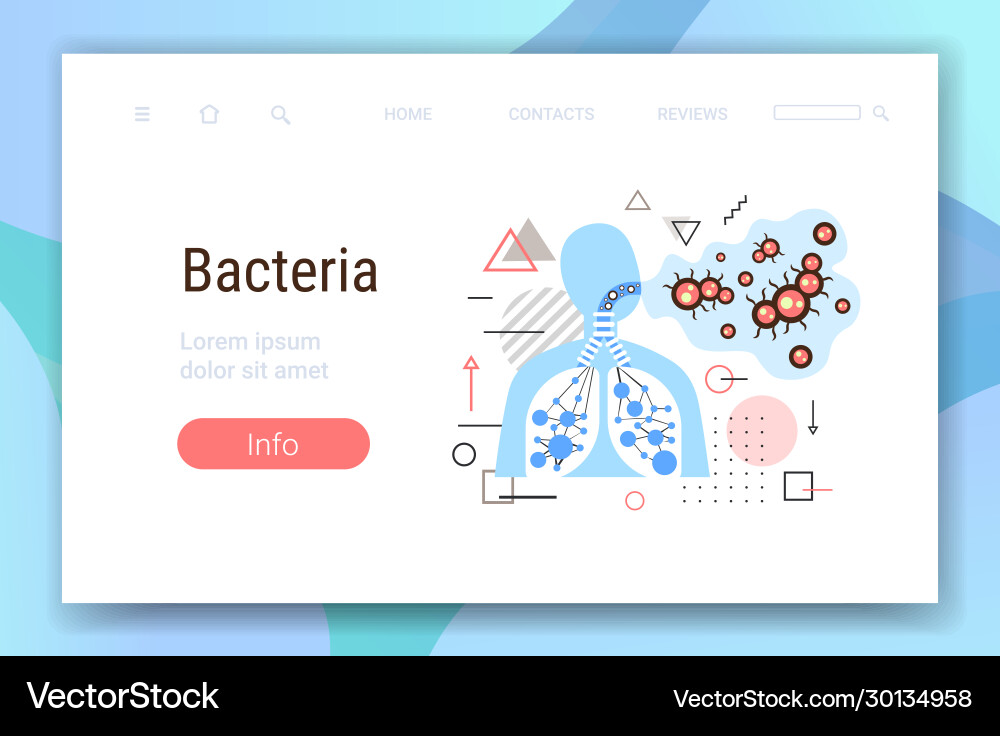 Infected human lungs with virus cells bacteria Vector Image