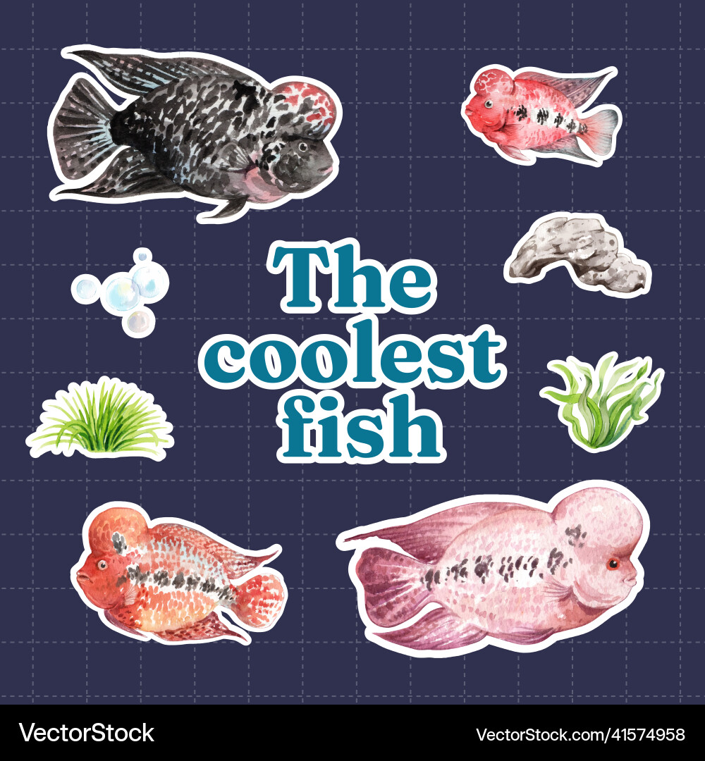 Sticker template with flower horn cichlid fish Vector Image