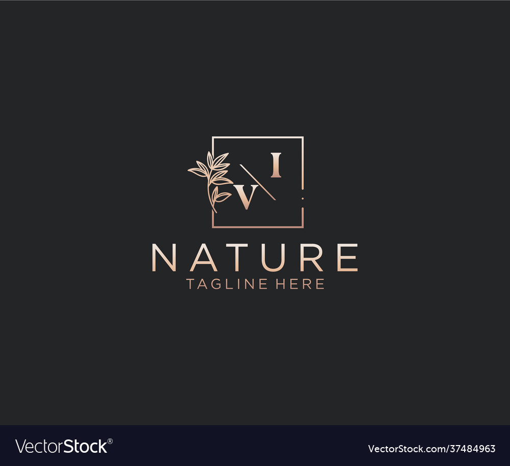 Initial iv letters beautiful floral feminine Vector Image