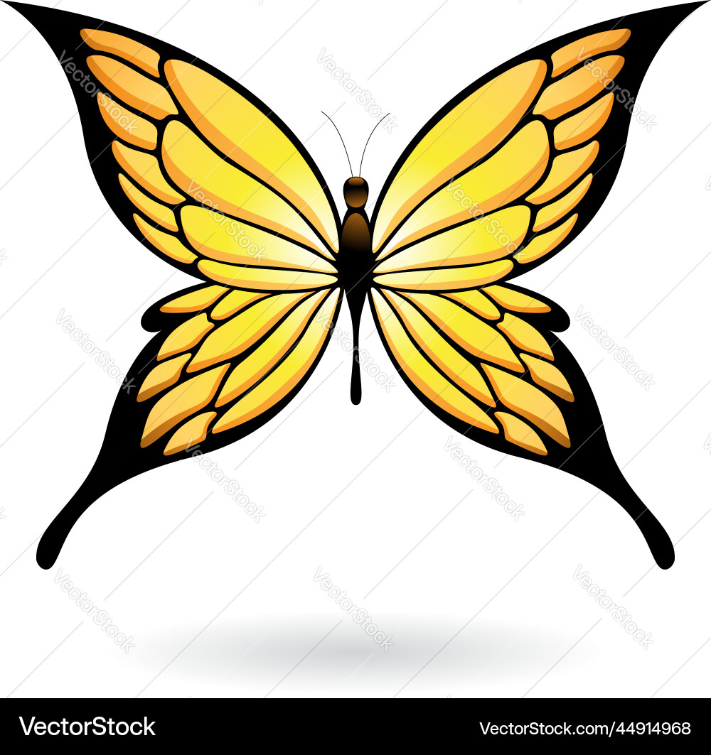 Yellow and black butterfly with pointed wings Vector Image