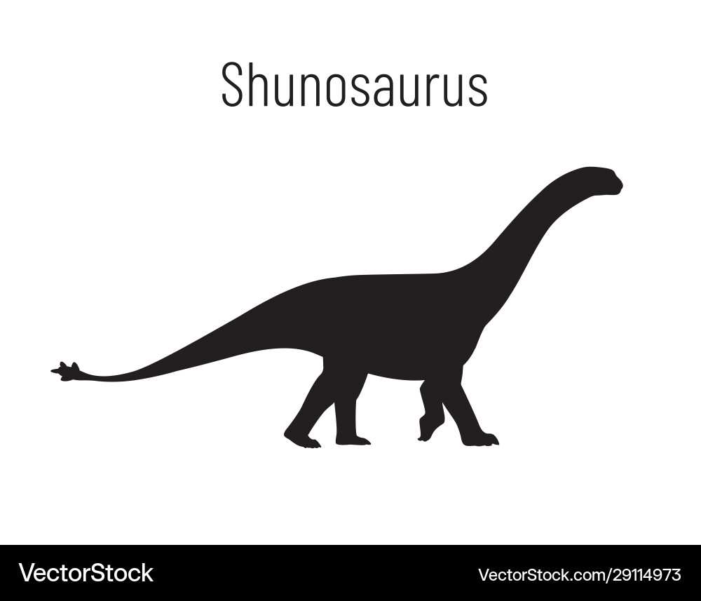 Shunosaurus Skeleton