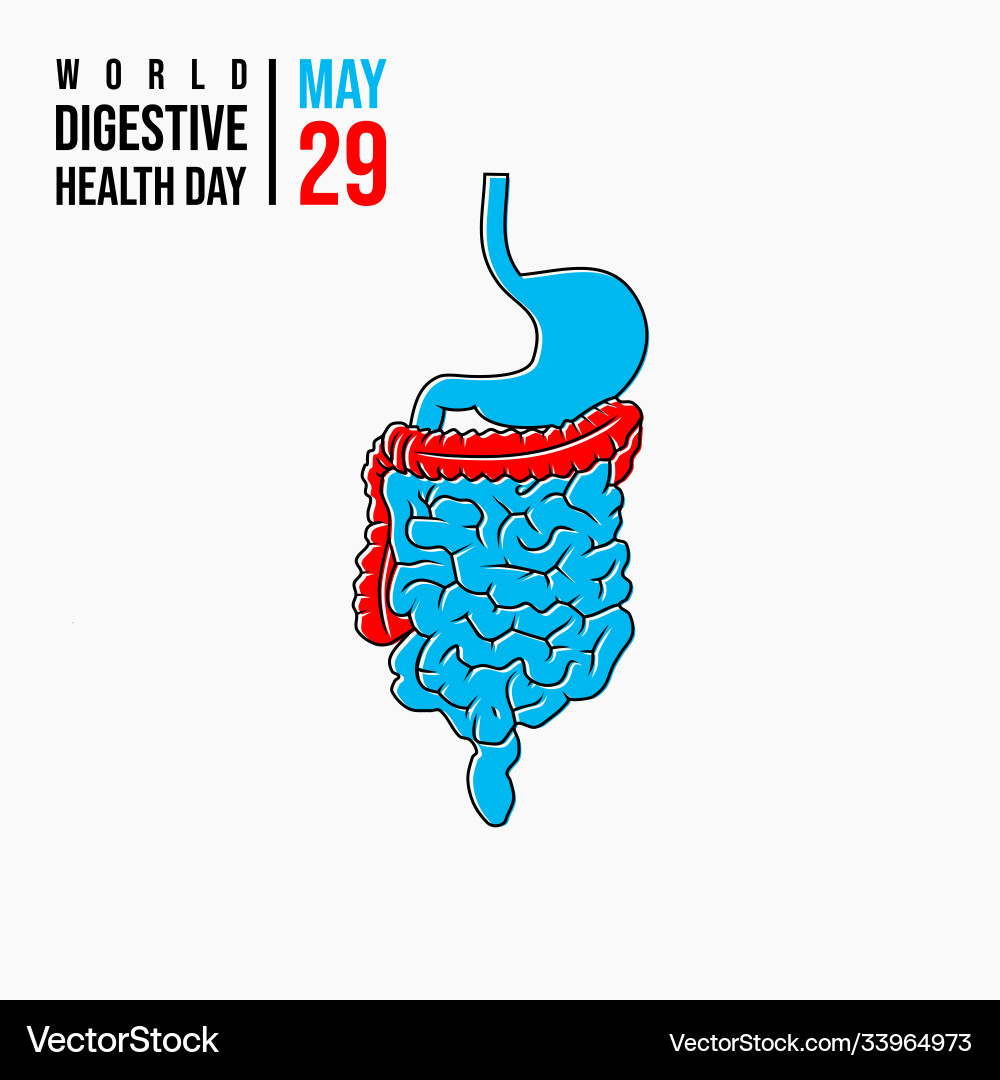 World digestive health day Royalty Free Vector Image