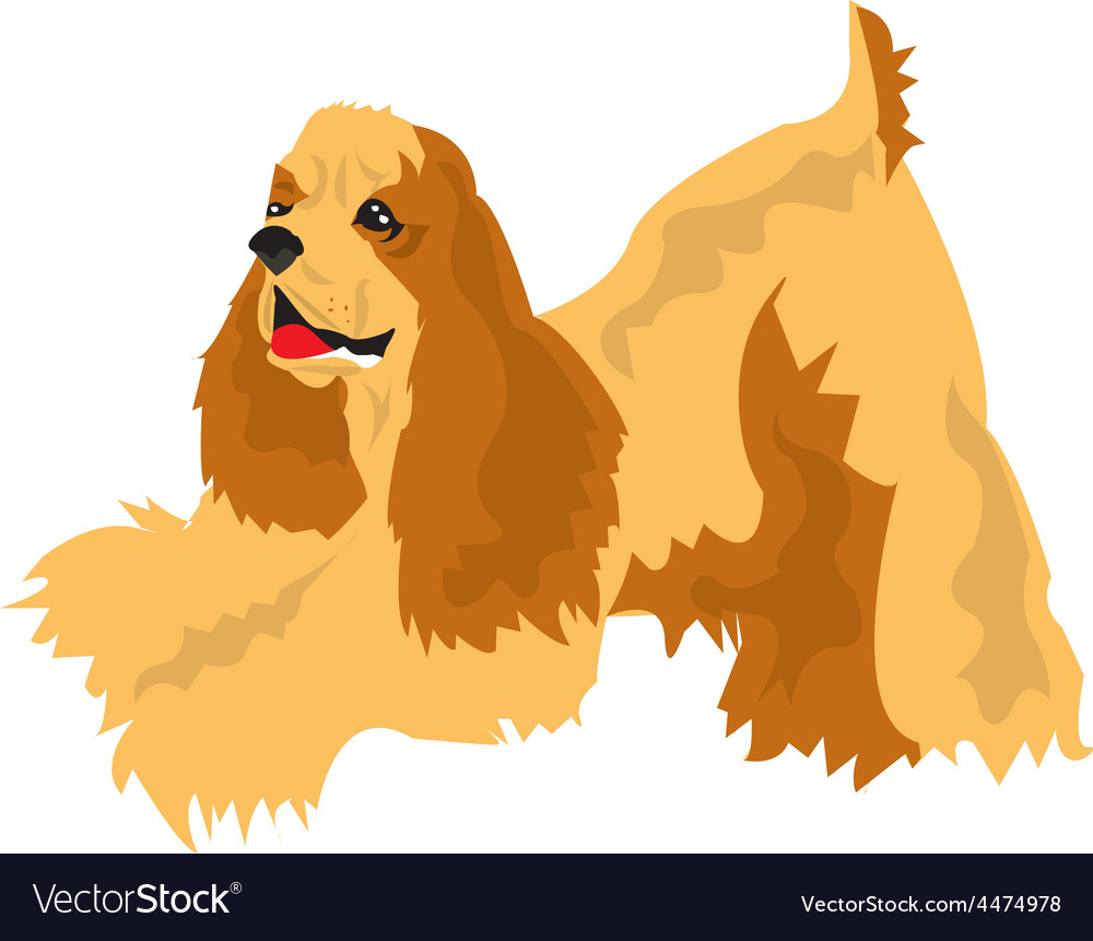 Cocker spaniel Royalty Free Vector Image - VectorStock
