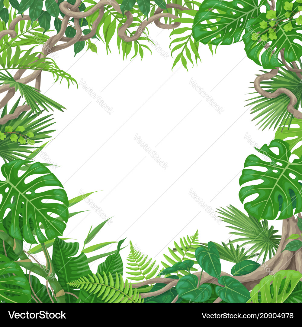 Square frame with tropical plants and liana Vector Image