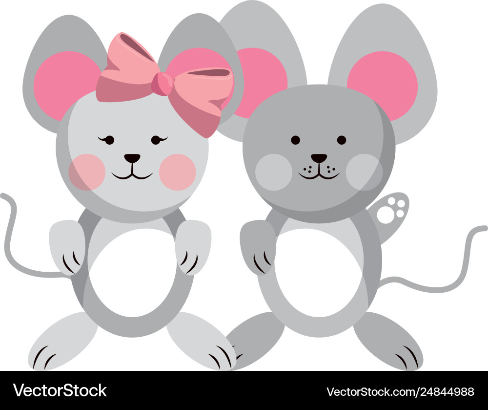 Cute animals couple Royalty Free Vector Image - VectorStock