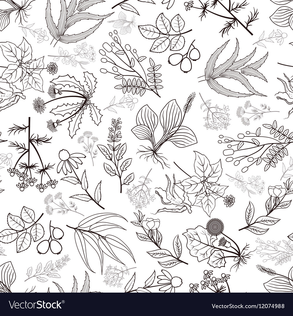 Herbs and spices seamless pattern Royalty Free Vector Image Herbs and spices seamless pattern Royalty Free Vector Image