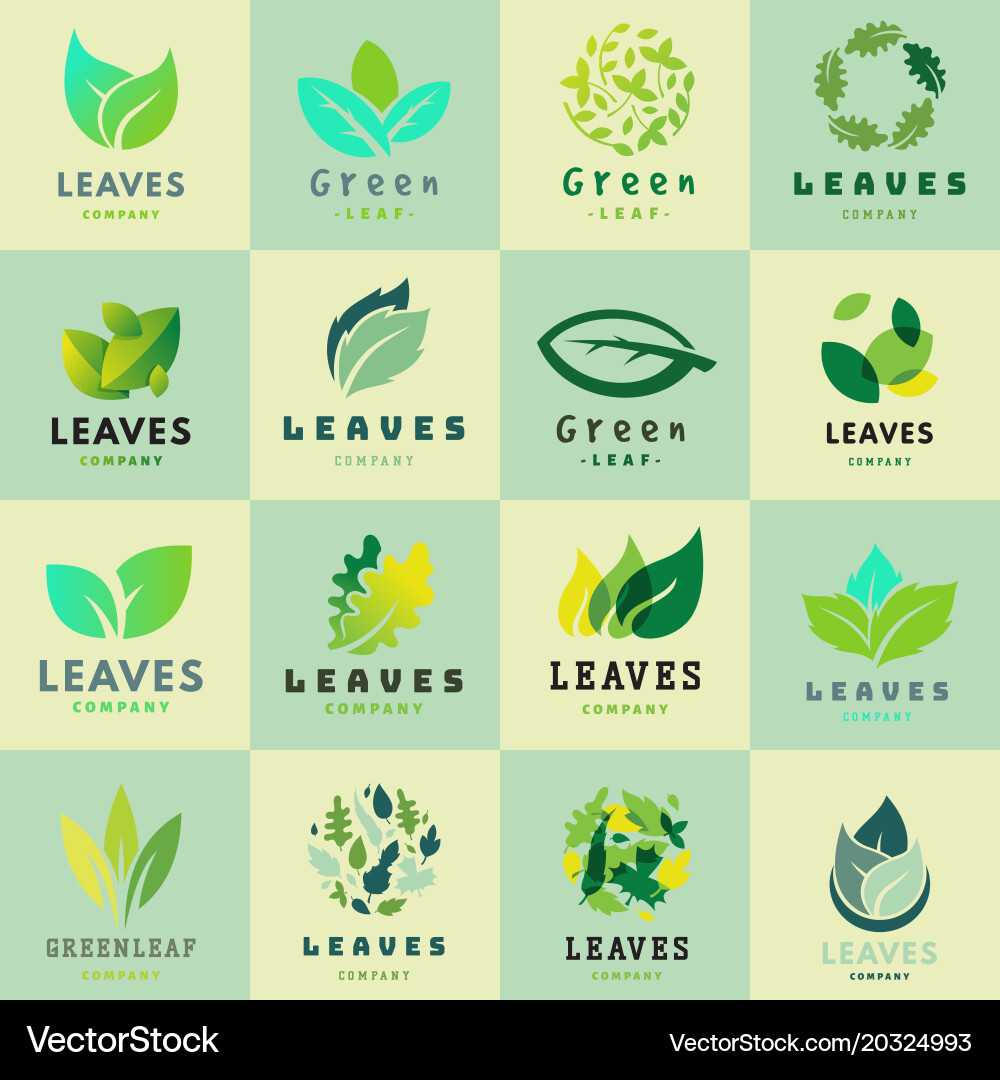 Green leaf eco design friendly nature elegance Vector Image