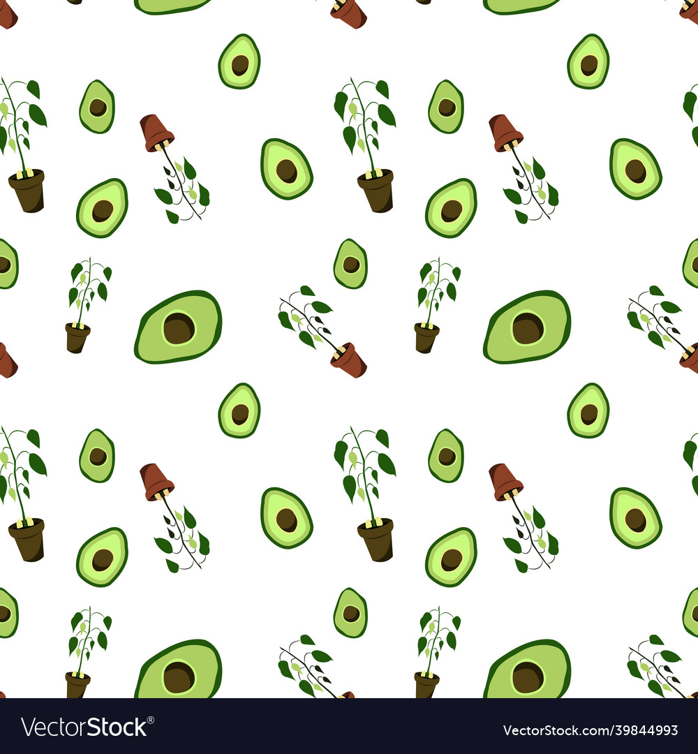 Pattern avocado tree on light background Vector Image