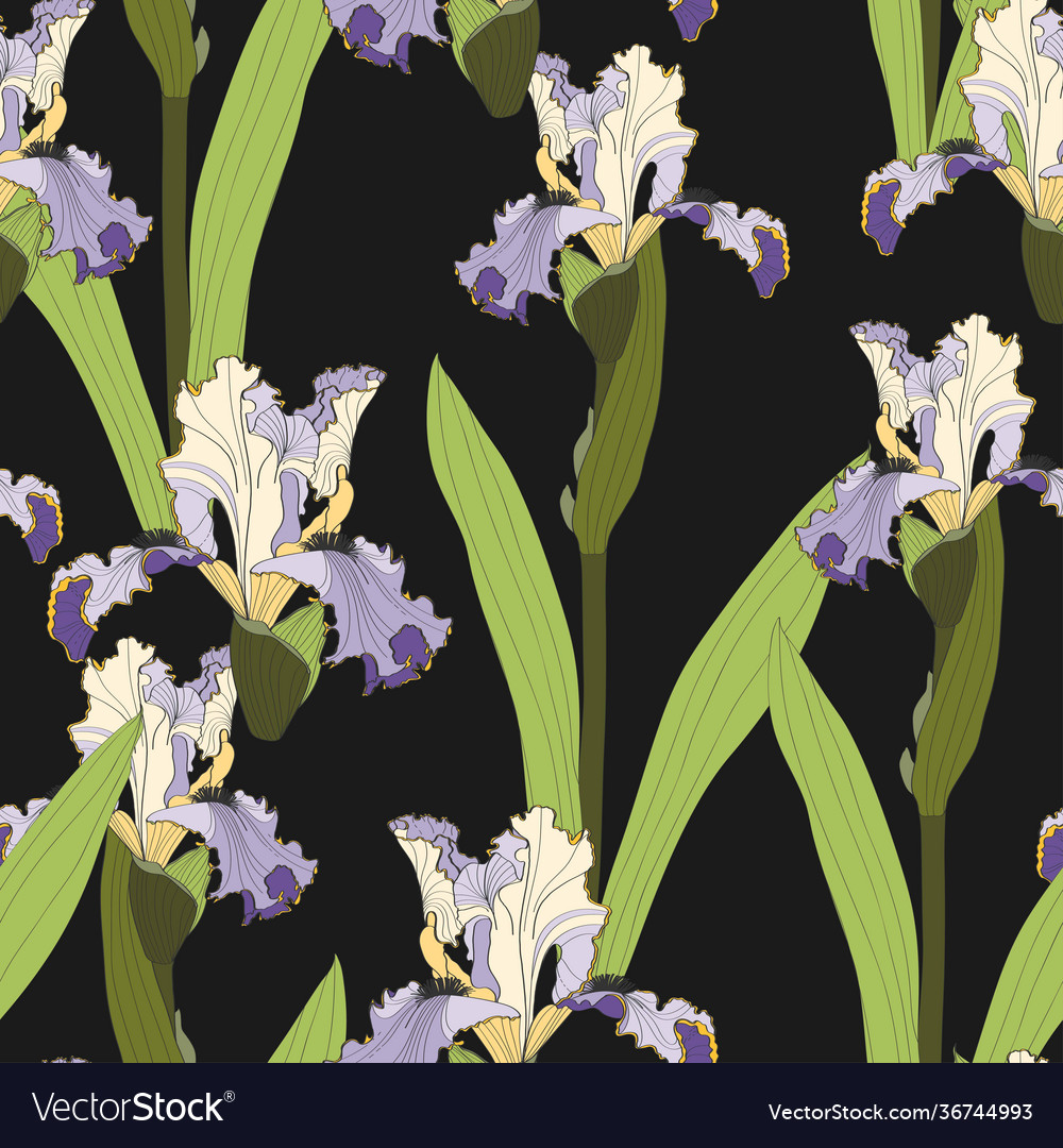 Seamless floral ris flowers pattern Royalty Free Vector