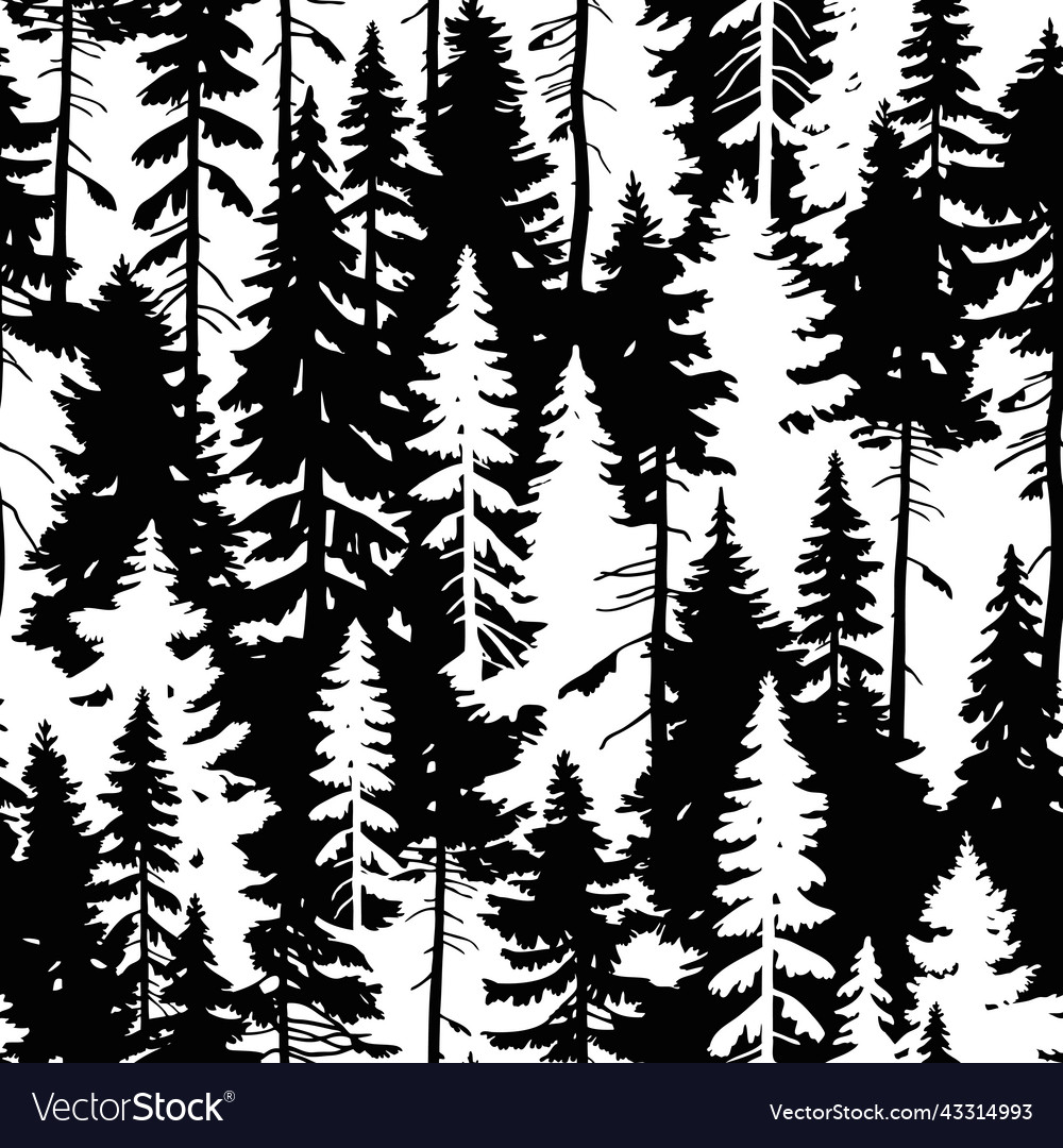 Seamless pattern with pine tree silhouettes Vector Image