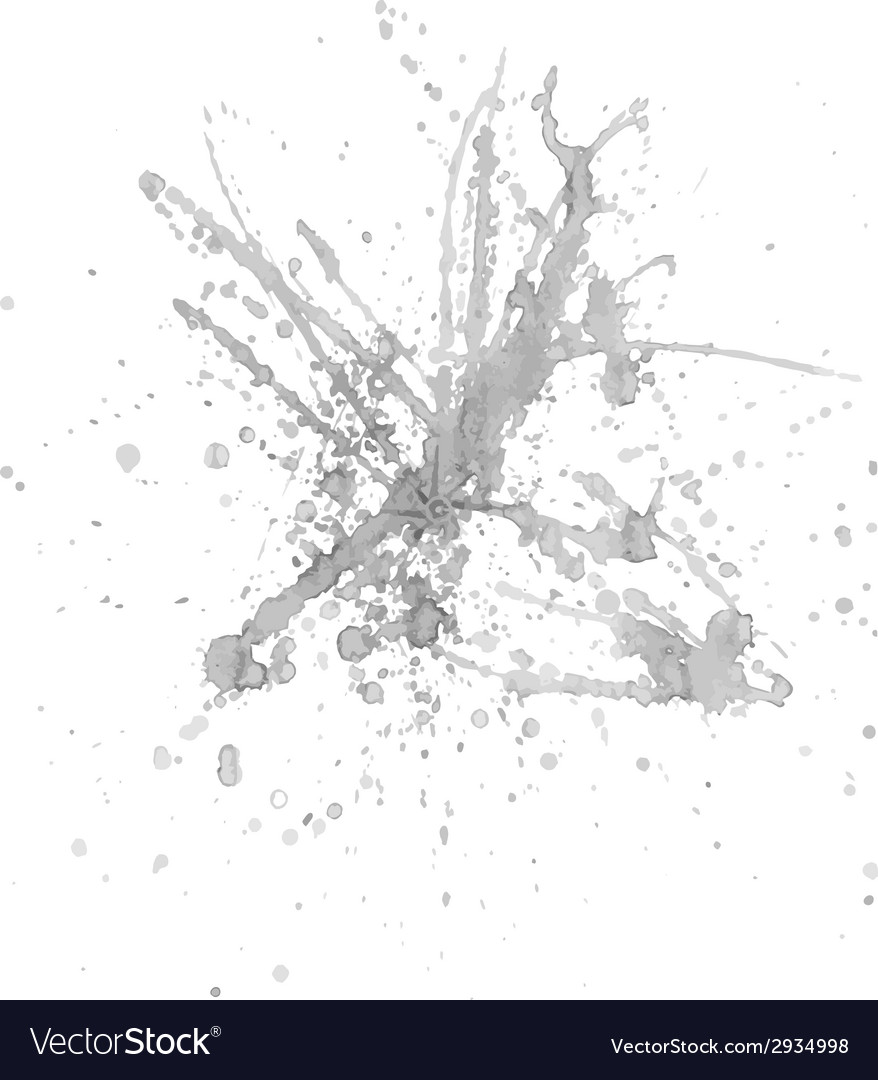 Gray ink splash Royalty Free Vector Image - VectorStock