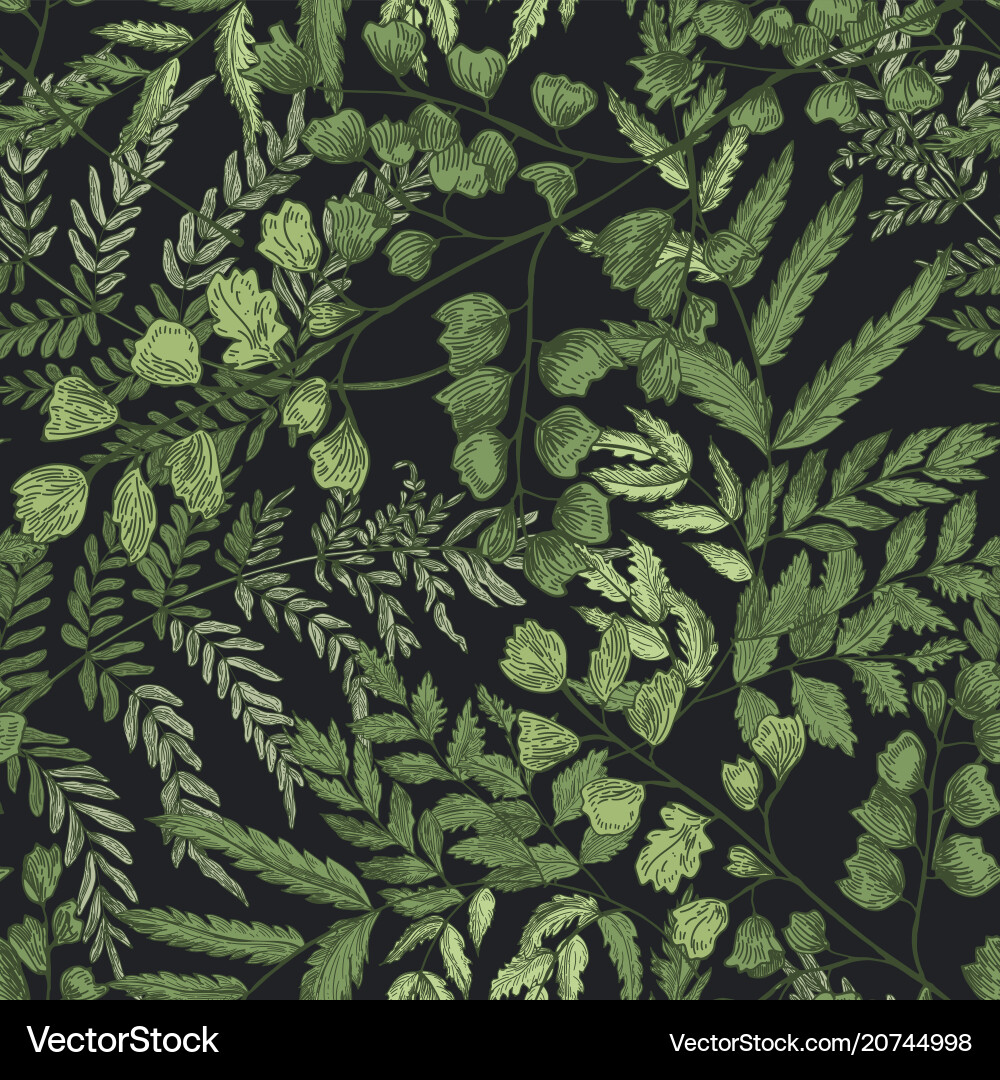 Natural seamless pattern with ferns and green Vector Image