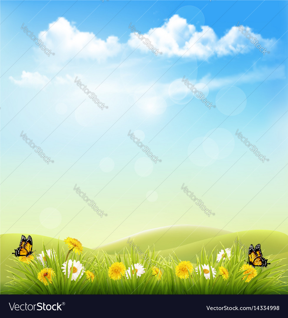 Spring nature background with a green grass and Vector Image