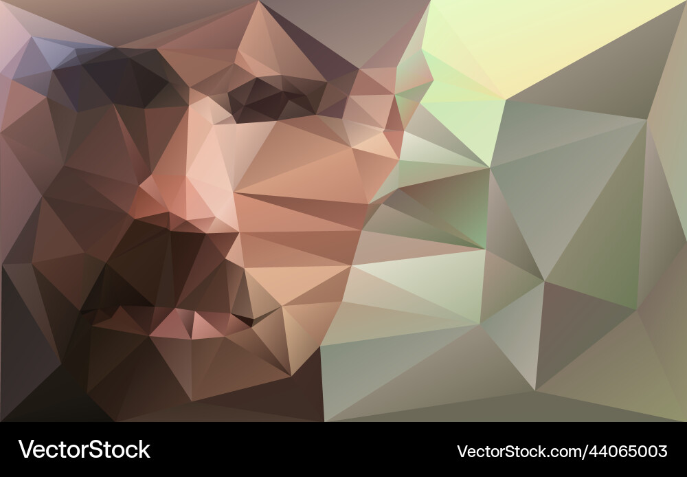 Portrait male warrior created from polygons Vector Image