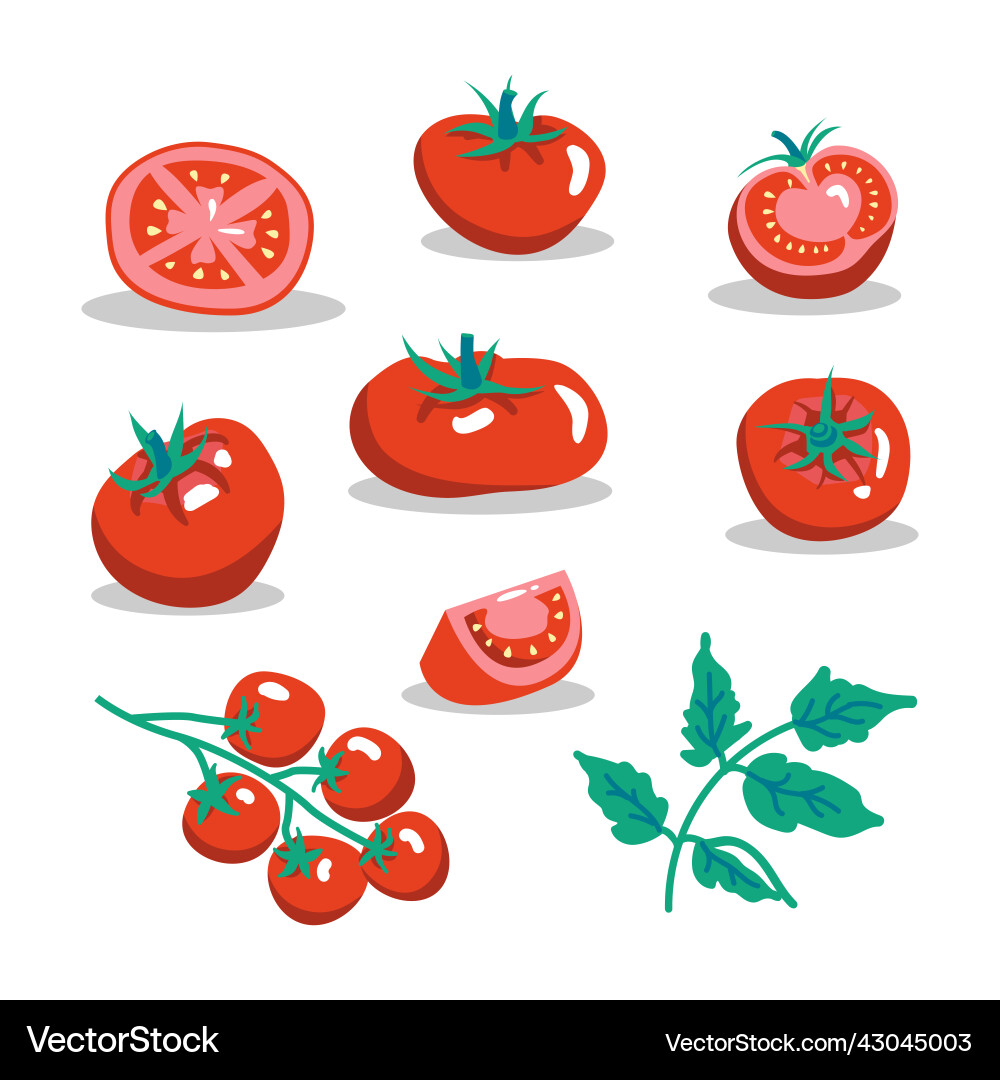 Set of fresh red tomatoes Royalty Free Vector Image