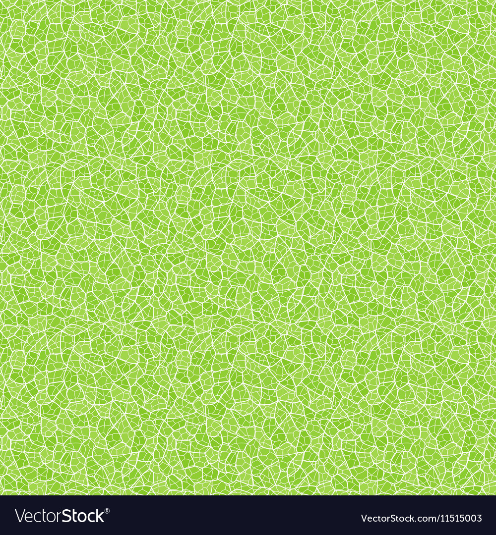 Texture Royalty Free Vector Image - VectorStock