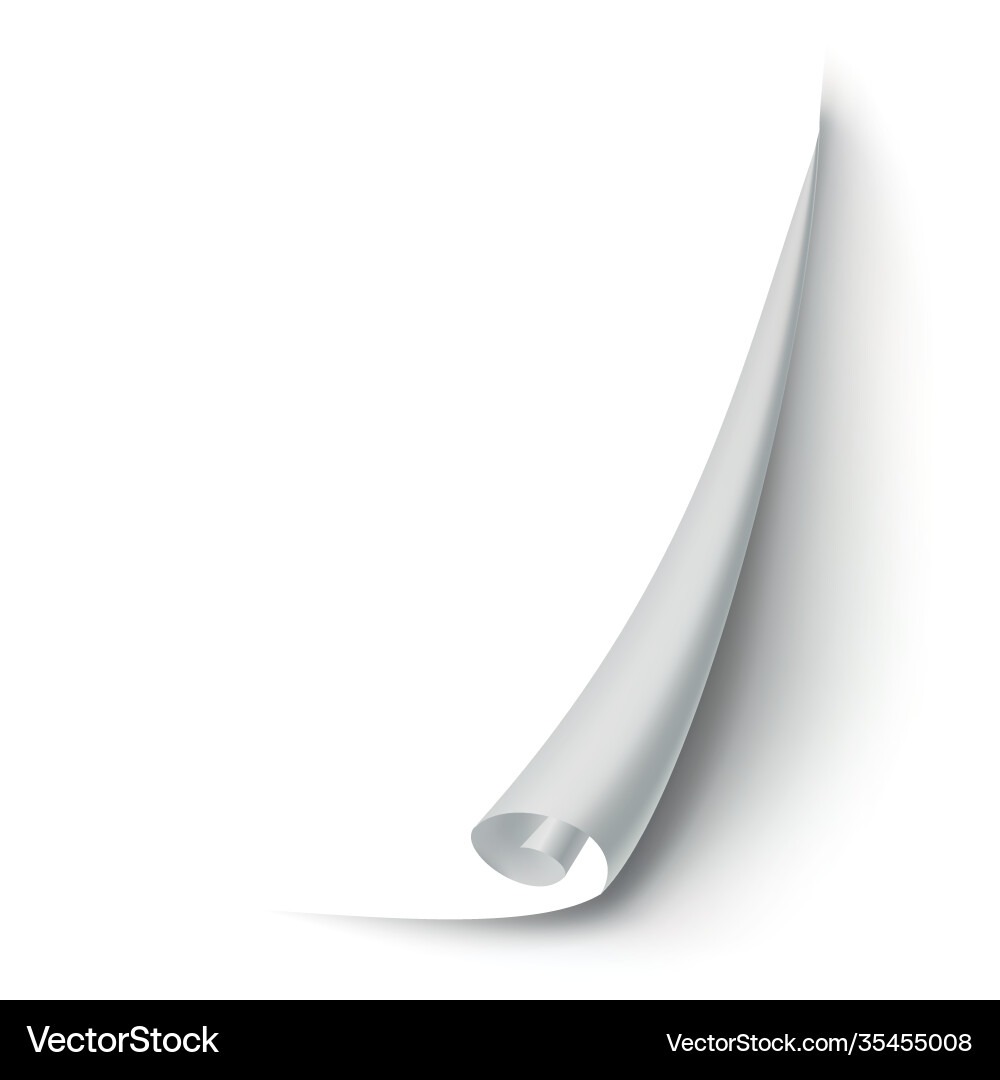 Curled paper corner curve page corner page edge Vector Image