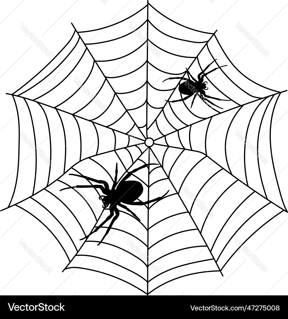 Scary black spider web isolated on white spooky Vector Image