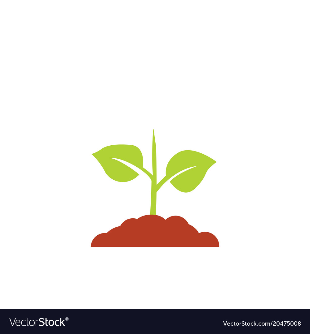 Seedling icon growing tree green agriculture Vector Image Seedling icon growing tree green agriculture Vector Image