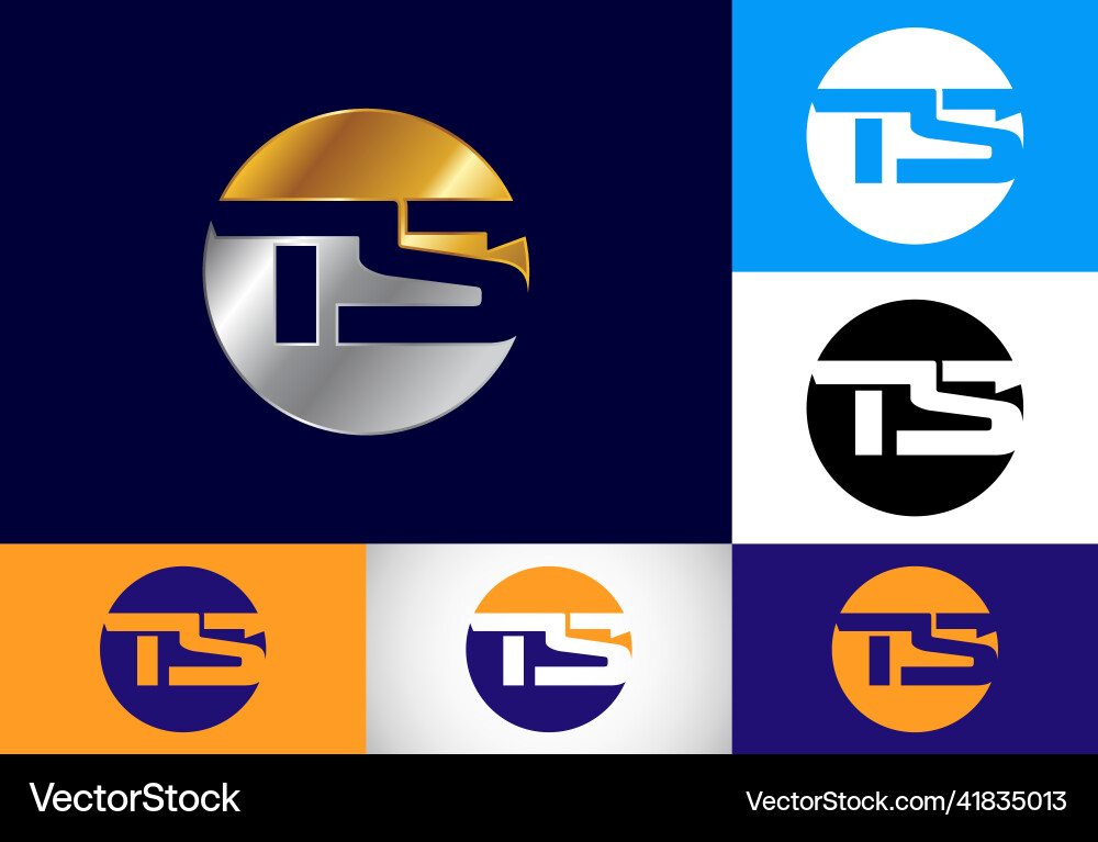 Initial letter t s logo design graphic alphabet Vector Image