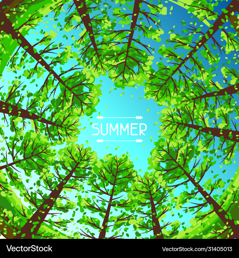 Summer forest background with stylized trees Vector Image