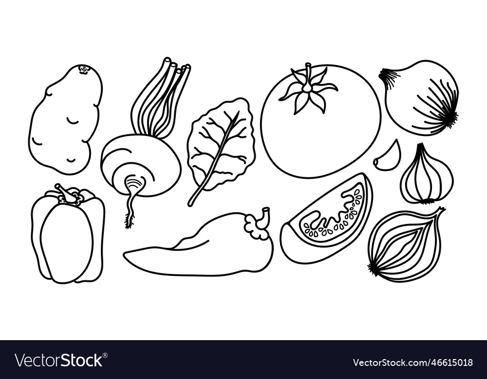 Collection of hand drawn vegetable outlines Vector Image