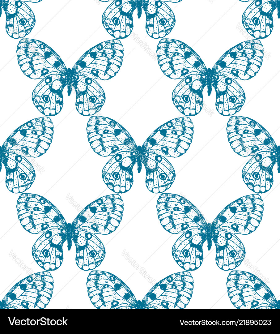 Seamless pattern of blue hand drawn butterfly Vector Image