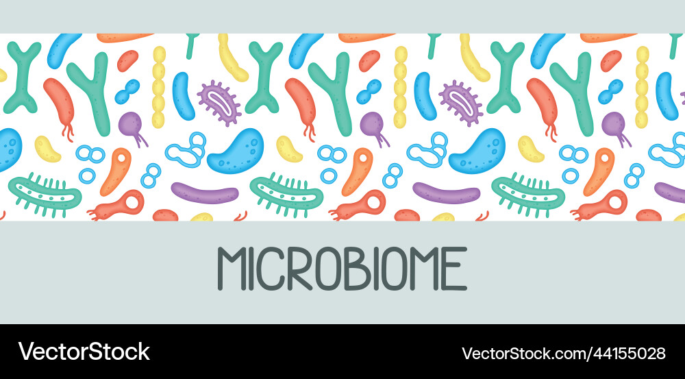 Microbiome of bacteria image gastroenterologist Vector Image