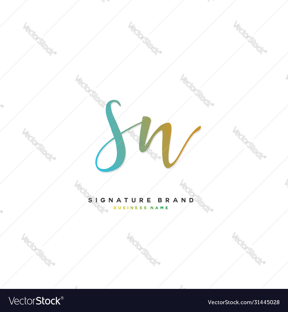 S n sn initial letter handwriting and signature Vector Image