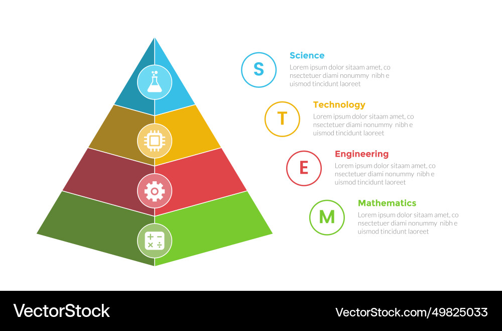 Stem education infographics template diagram with Vector Image