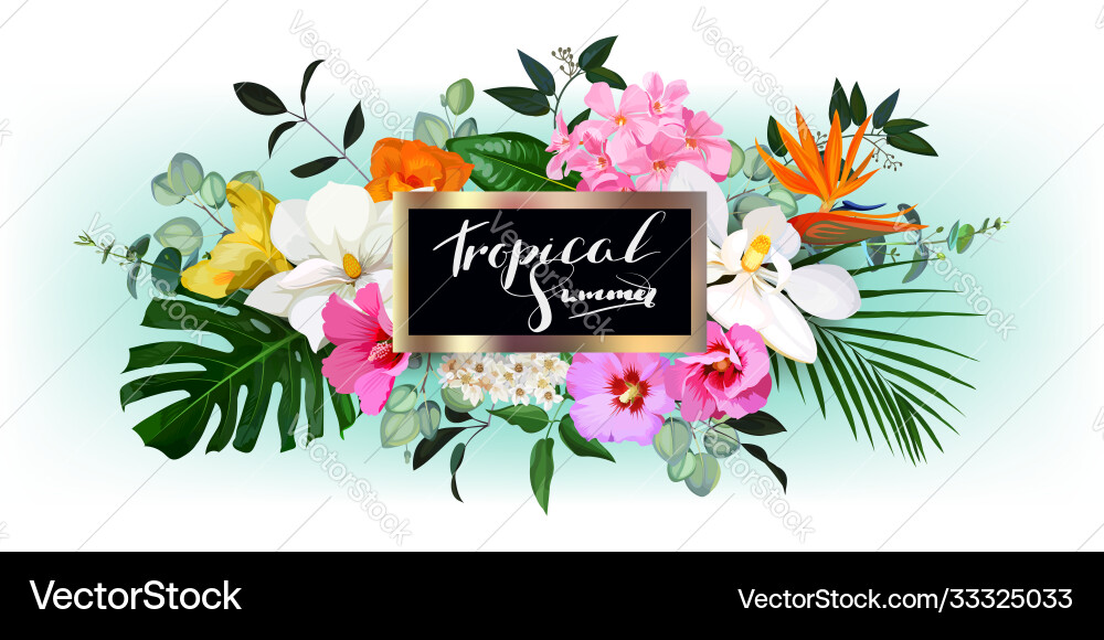 Tropical design greeting card Royalty Free Vector Image