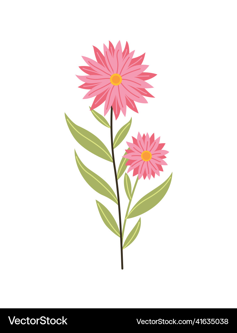 Spring flower botanical floral icon design Vector Image