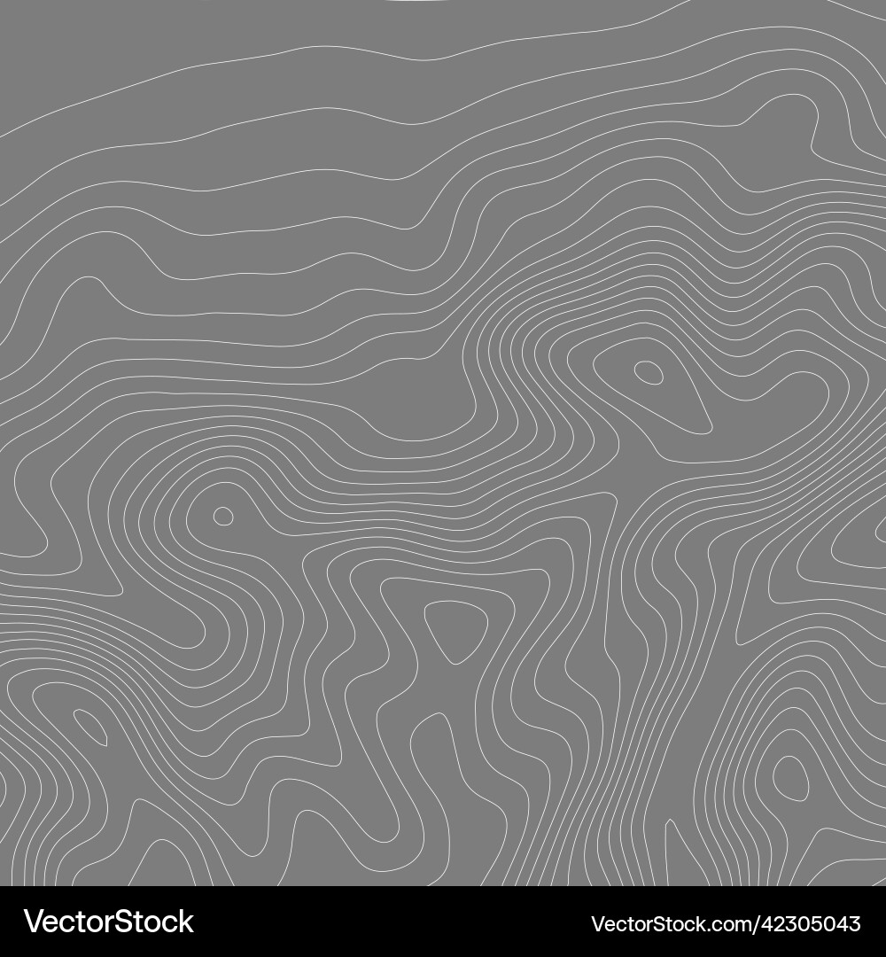 Abstract paper cut shapes topographic map Vector Image