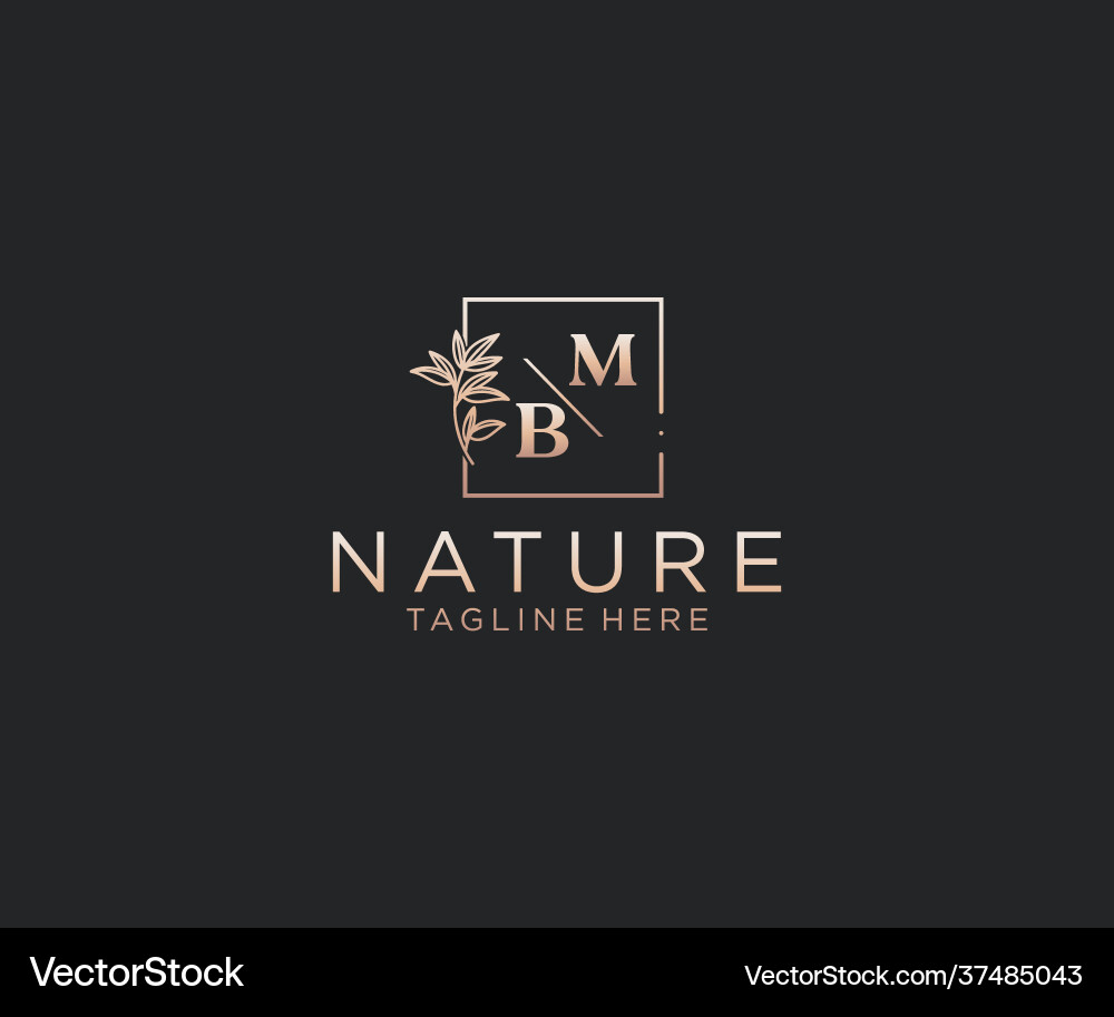 Initial mb letters beautiful floral feminine Vector Image