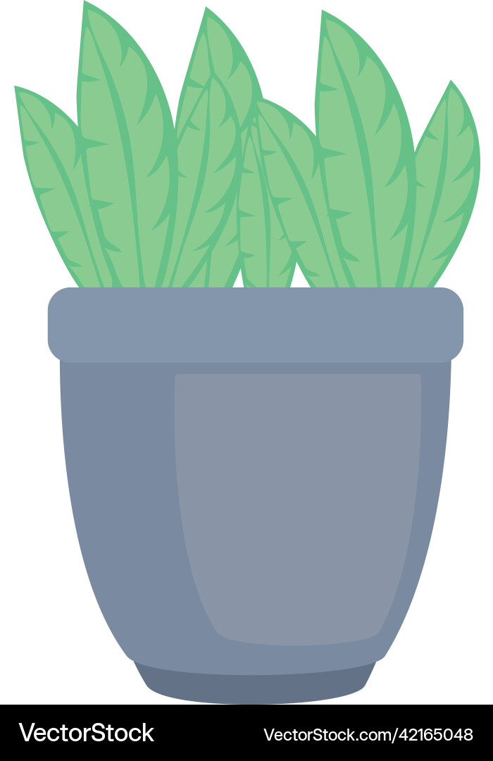 Houseplant with gray pot Royalty Free Vector Image